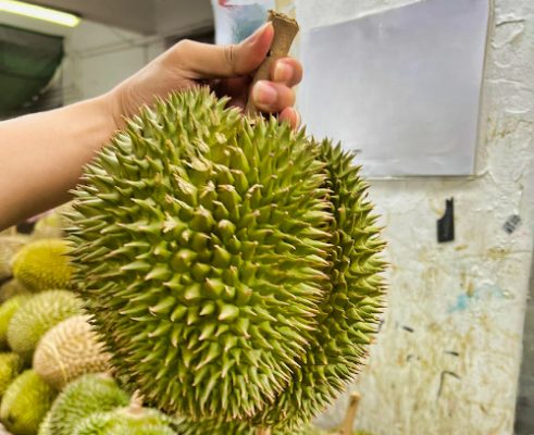 How D168 Came To Be Known As IOI Durians And D101 | Durianed!