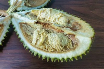 Reject A Bad Durian Instantly With Any Of These 5 Defects | Durianed!
