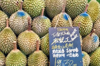 Tupai King Durian Is Set To Challenge Mao Shan Wang's Throne | Durianed!