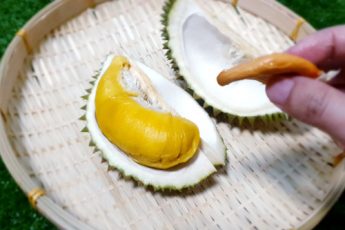 5 Types Of Durians Commonly Sold As Fake Musang King | Durianed!